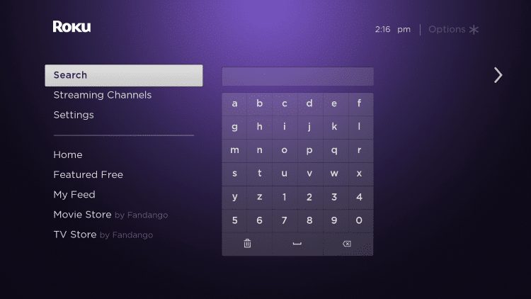 How to Install Disney Plus on Roku - Installation Guide & More