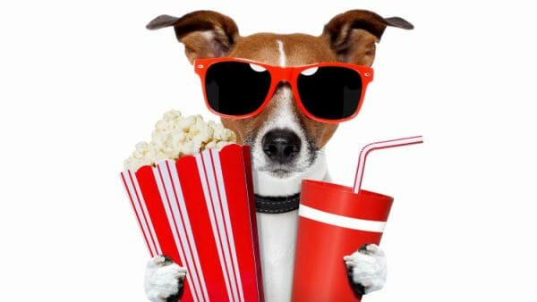 How to Install Slamious Build on Kodi - Is It Safe & Legal?