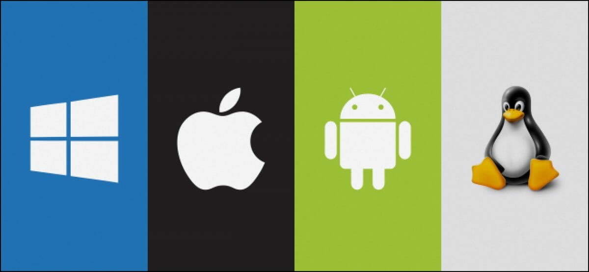 Plex Media Server Setup Guide for 2024 (Beginners Guide)