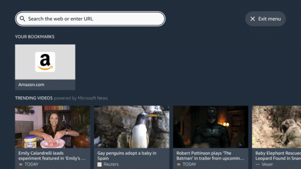 Amazon Silk Browser - Best Web Browser for Firestick/Fire TV?