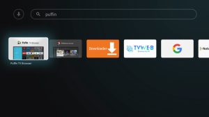 How to Install Puffin TV Browser on Firestick & Android TV